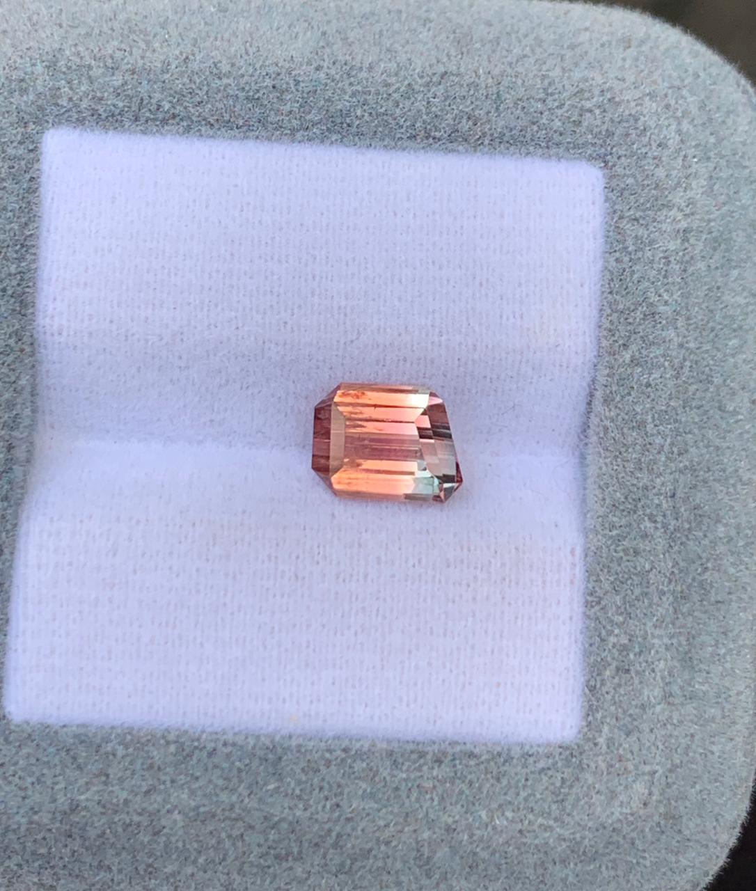 Tourmaline Certifiée | Bonnot Paris